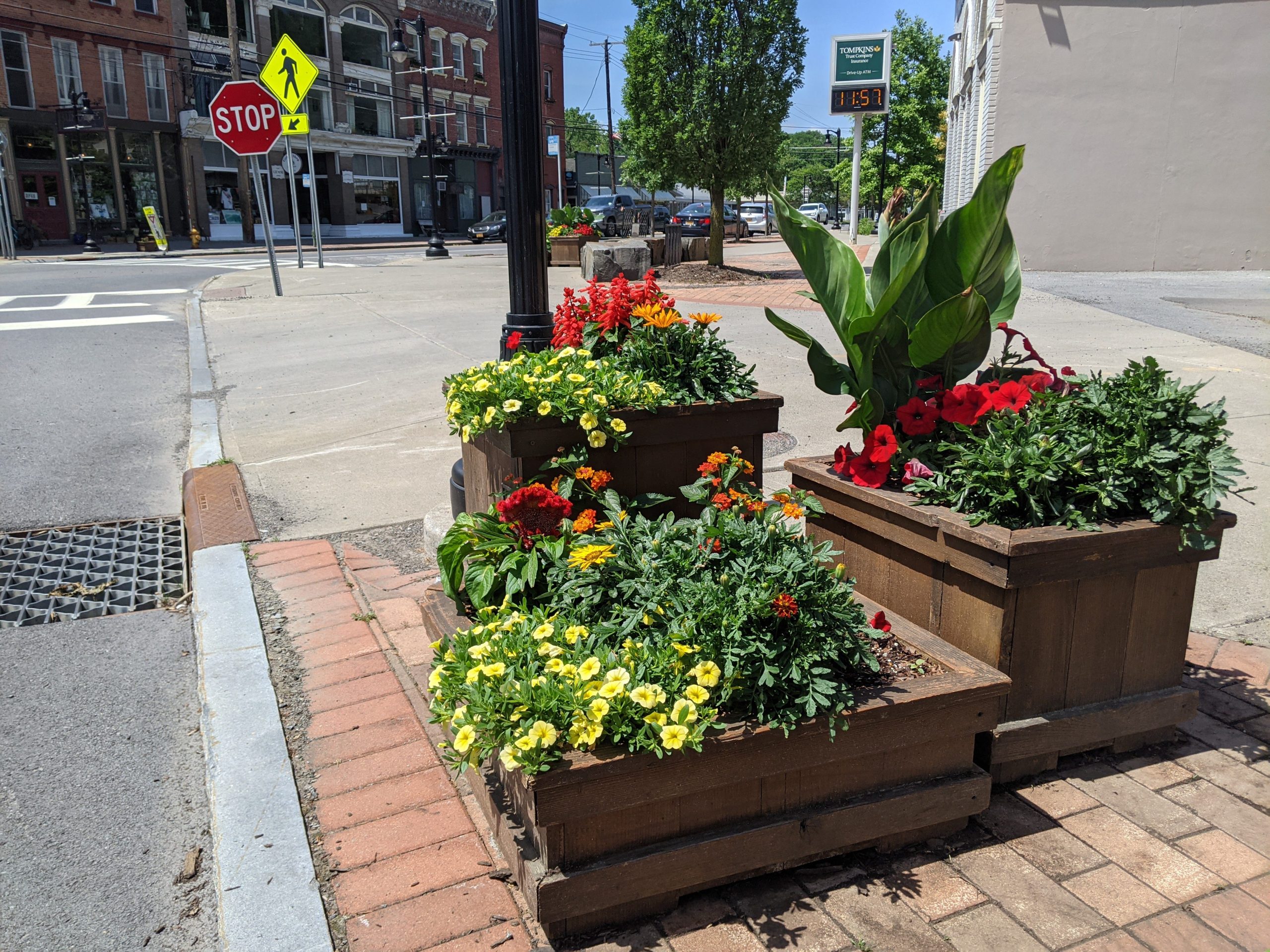 Takin' Care of T'burg is ready with a new watering system – Tompkins Weekly