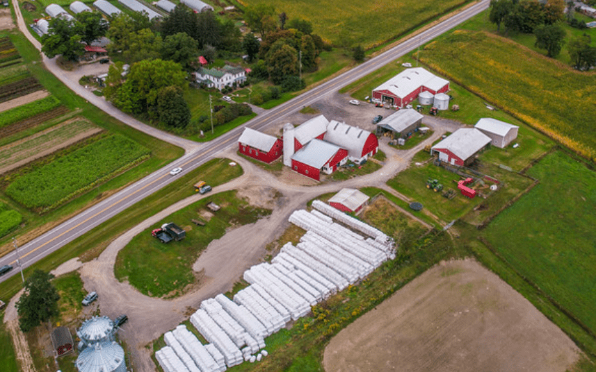 Cayuga Sunrise Farm hosts opening day of its pumpkin patch – Tompkins Weekly